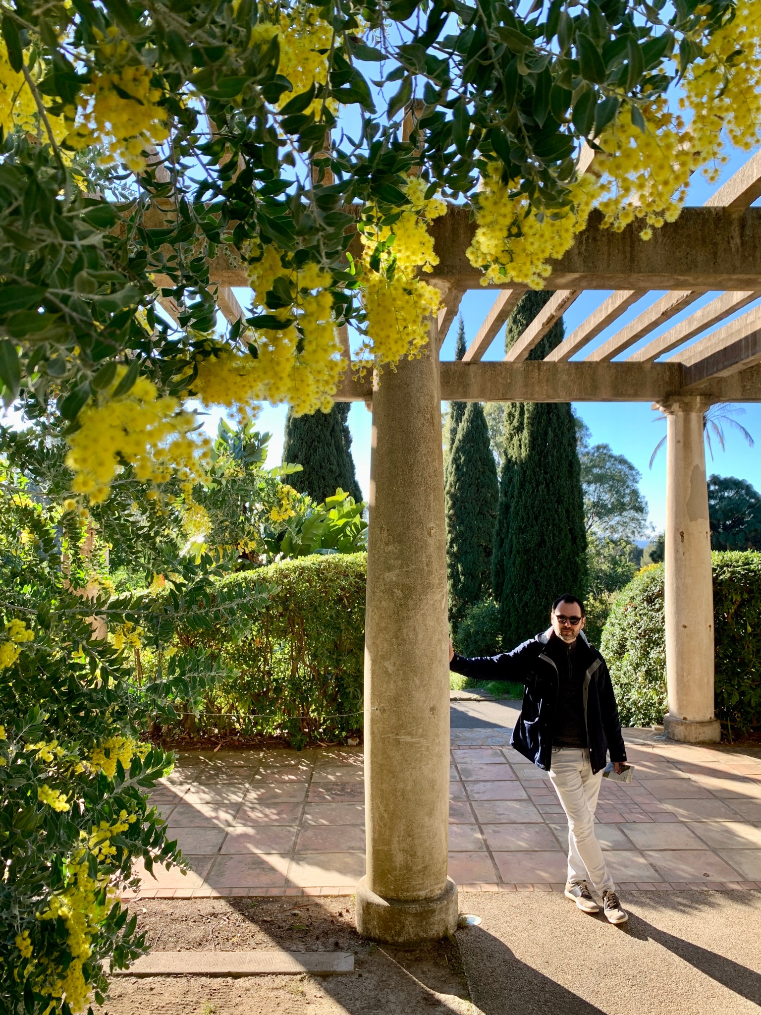 Winter Blues.. and Greens! – Our Provençal Year